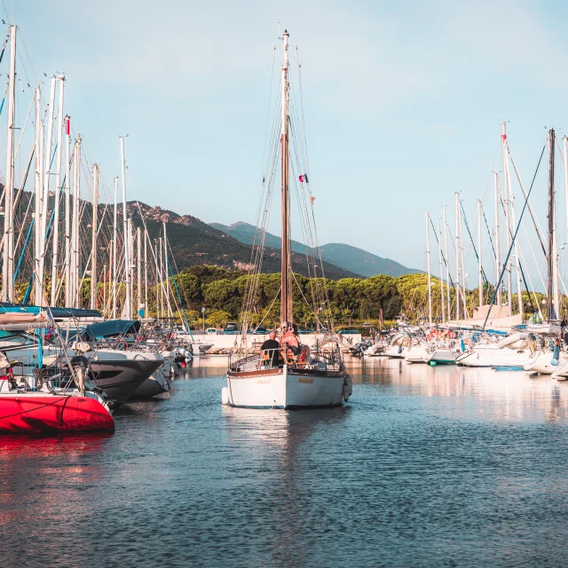 Le port d’Argelès-sur-Mer : une balade entre terre et mer Le port ...
